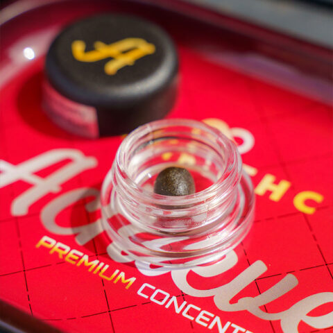 Temple Ball Hash – What Is It? - Achieve Concentrates